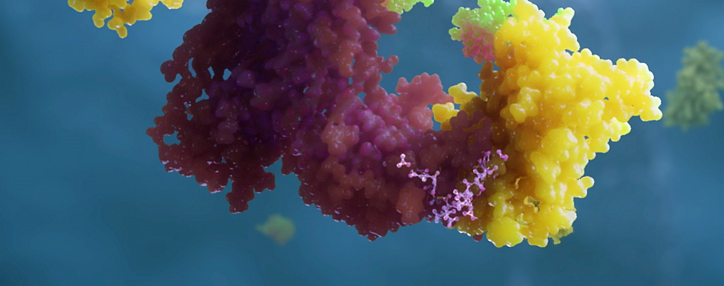 Amgen | A Worldwide Pioneer in Biotechnology